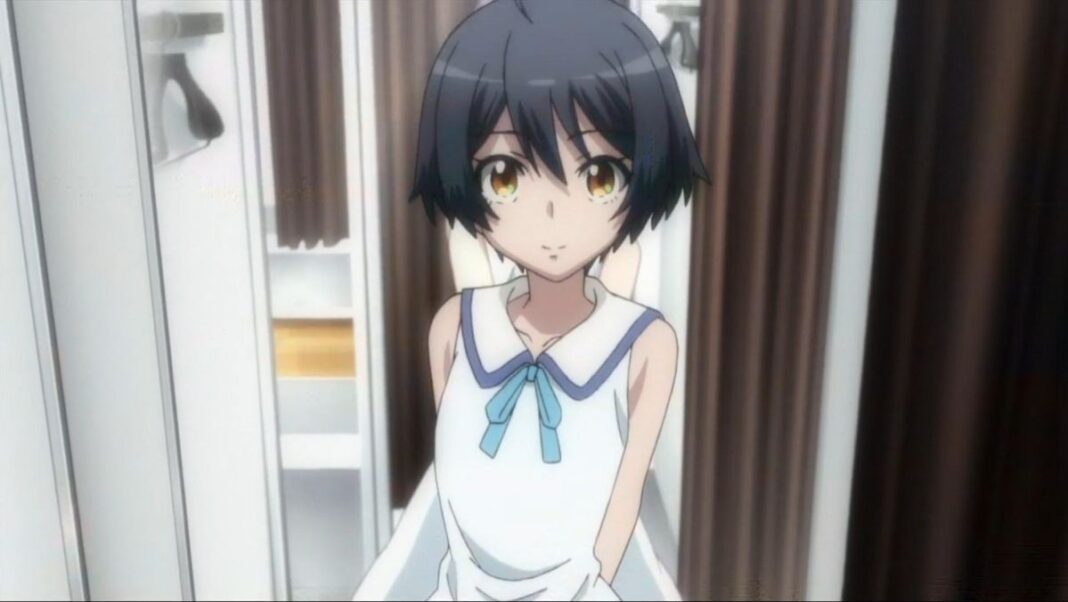 29 Best Anime Traps: Boy Characters That Become Best Girls
